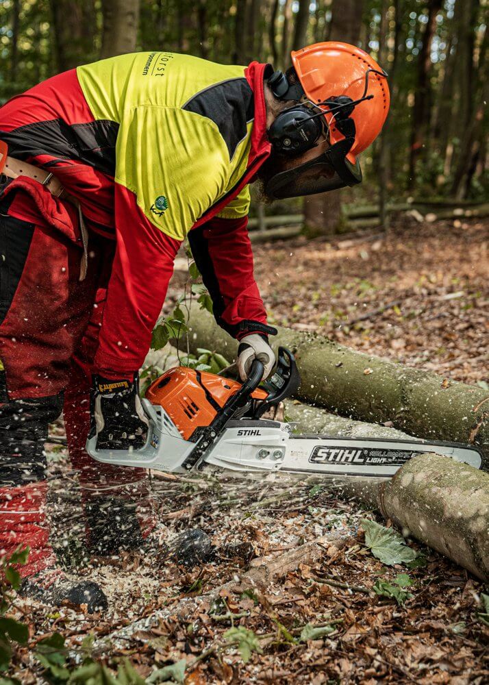 Motorsägenkurse - Wald-MV
